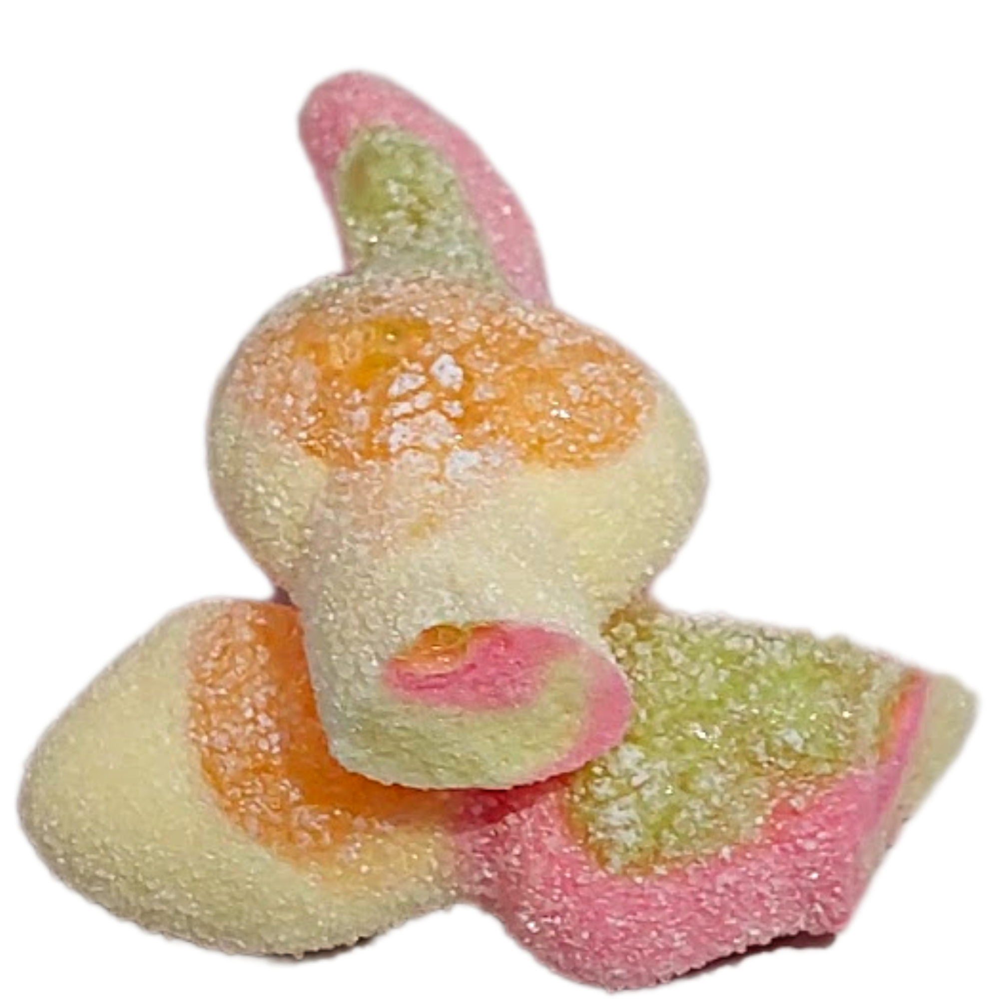 Freeze Dried Sour Lizard Lollies Candy - Poppys Chocolate