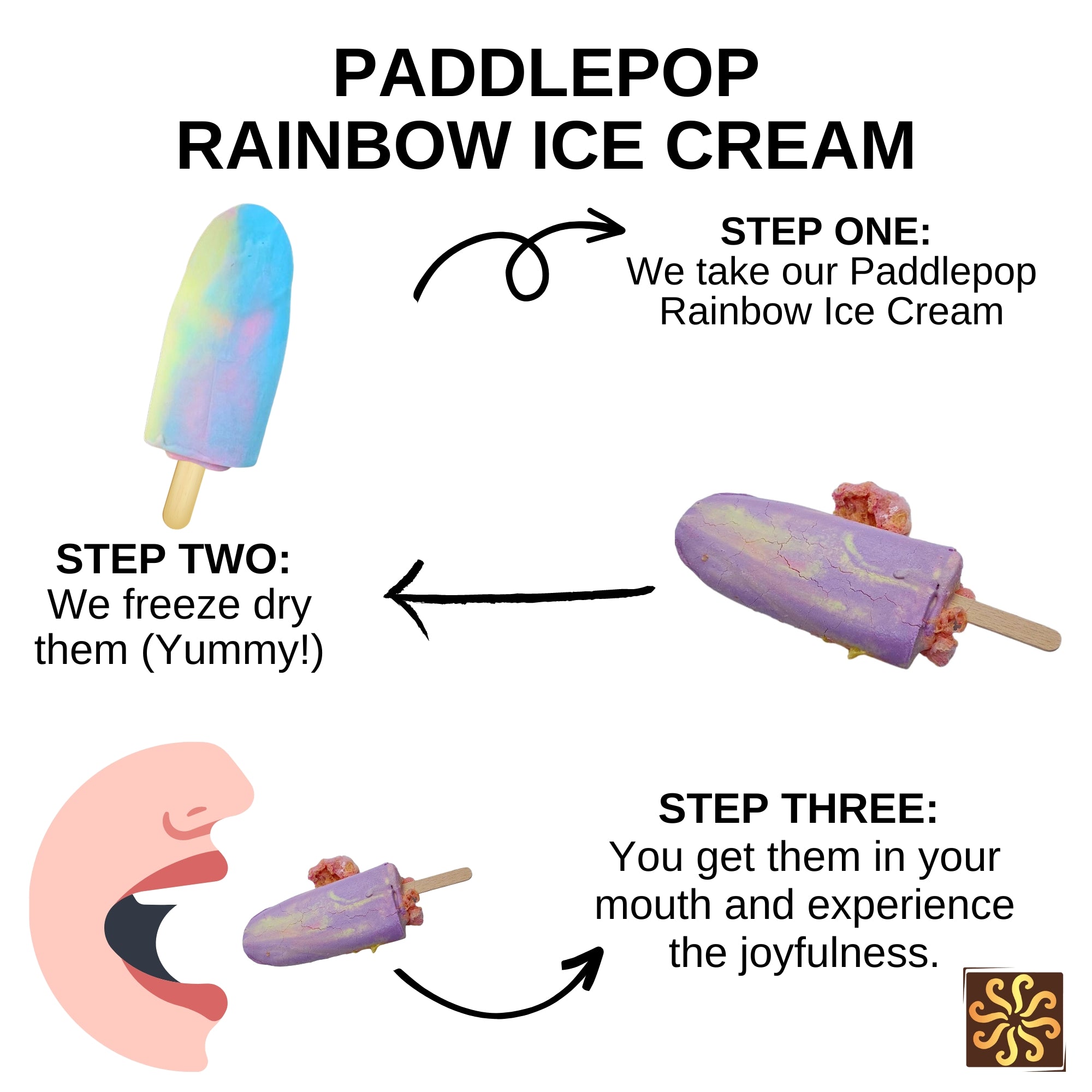 Freeze Dried Paddlepop Ice Cream Bundle
